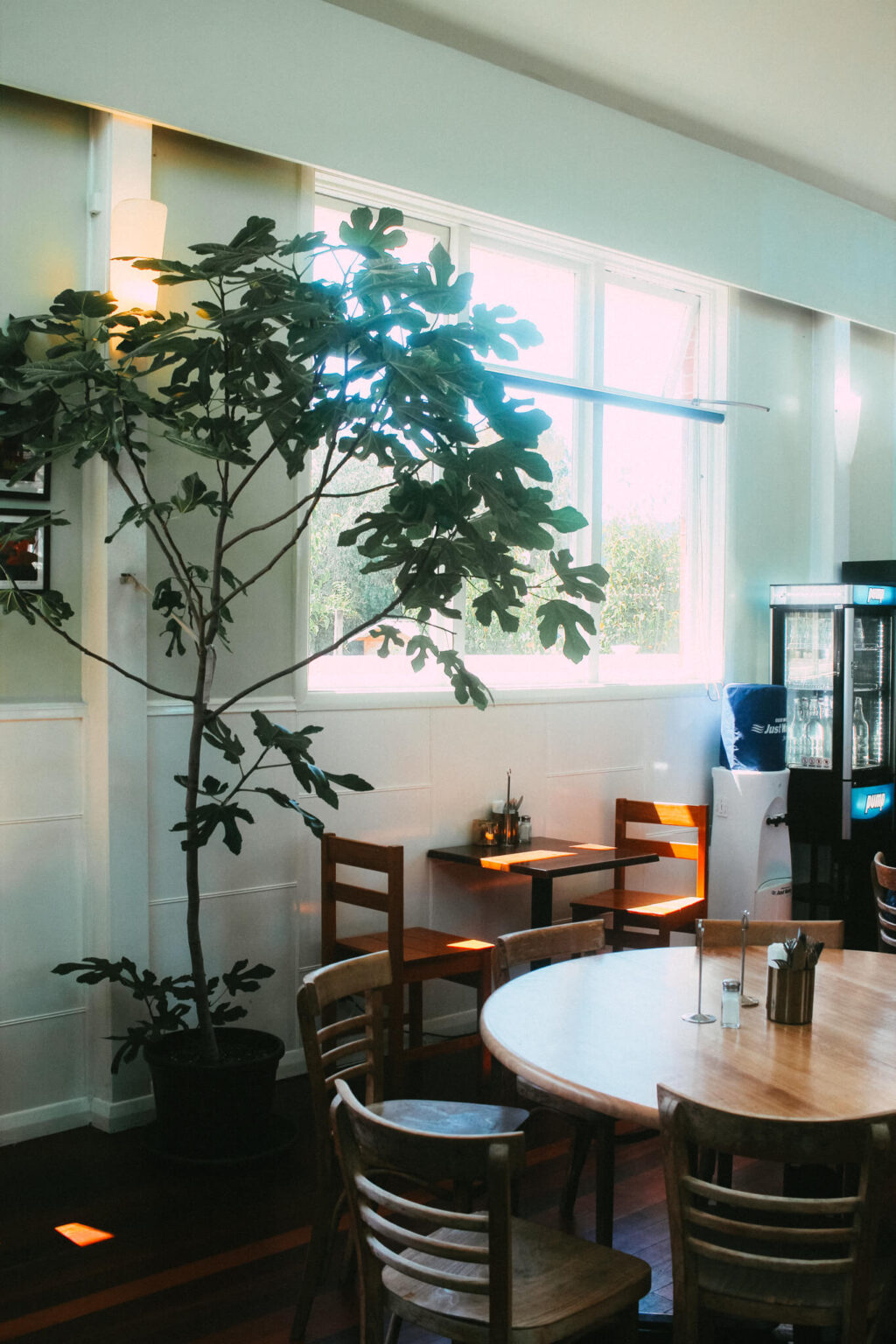 Fig Tree Cafe | Upper Hutt's Favourite Local Cafe & Place to Eat